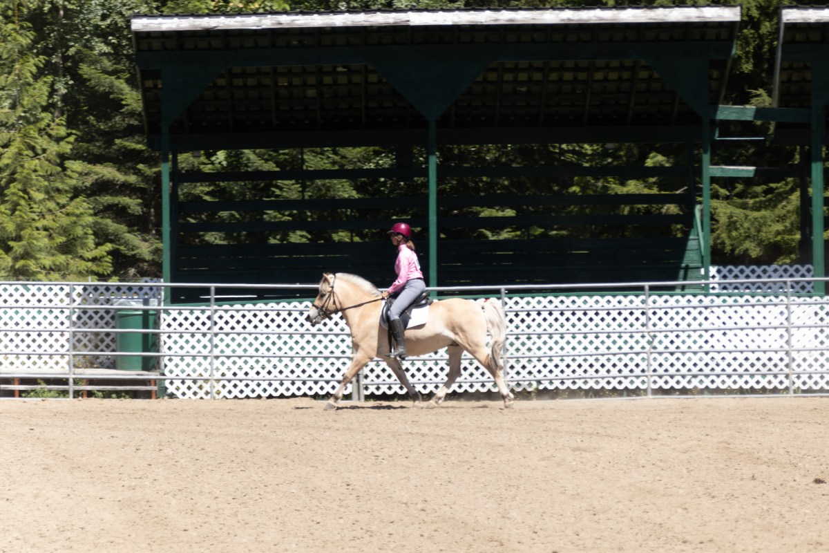 Writing is like Dressage – Michelle Eames