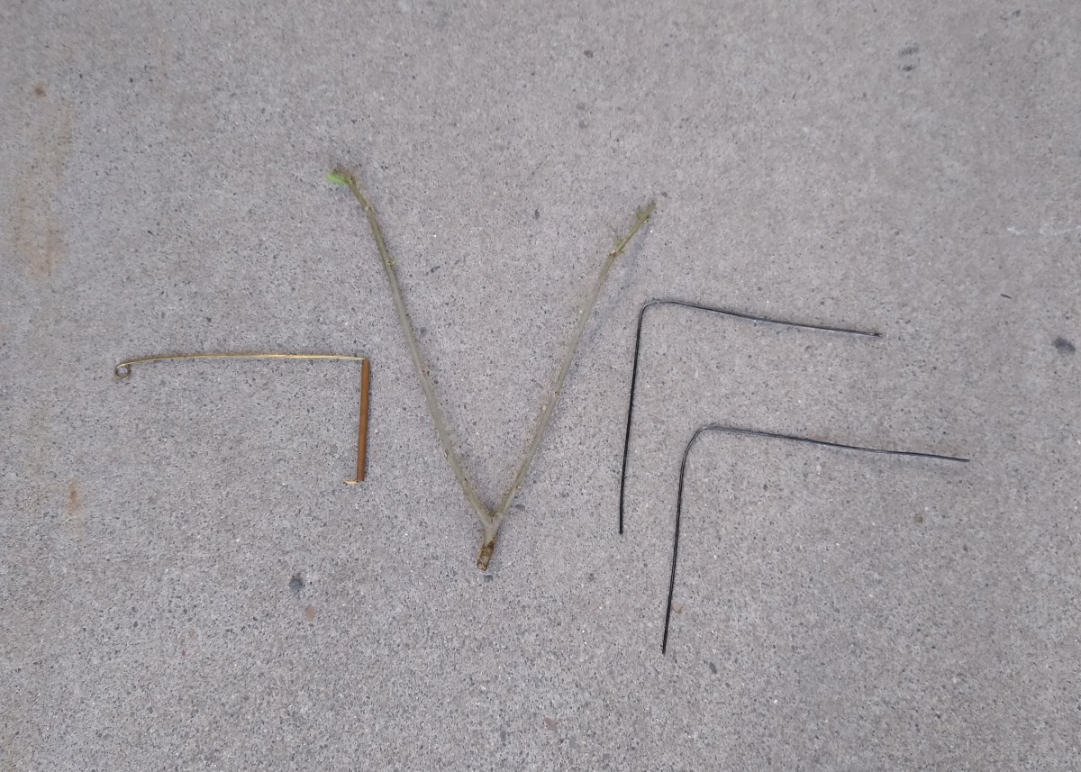 Whisky is for Drinking and Water is for Witching – Michelle Eames