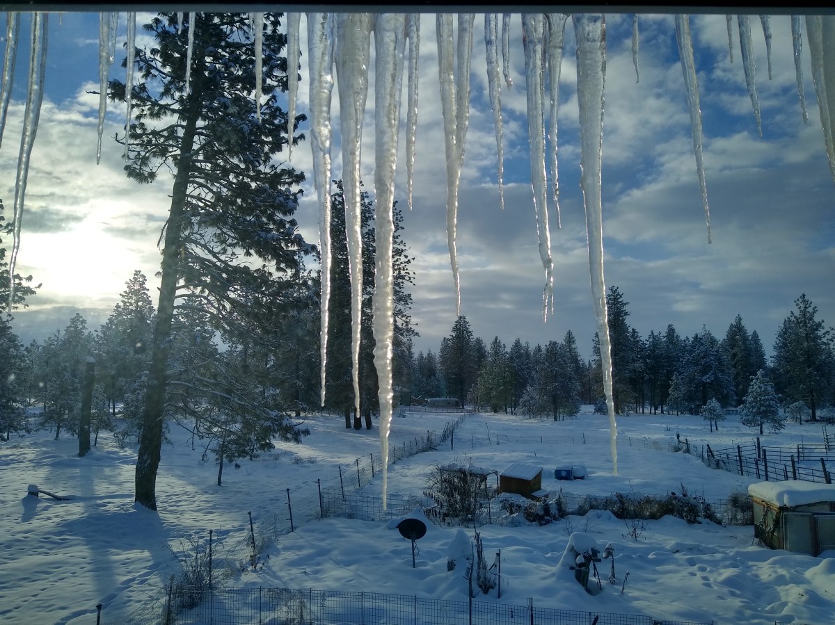 Let Me Die in the Winter – Michelle Eames