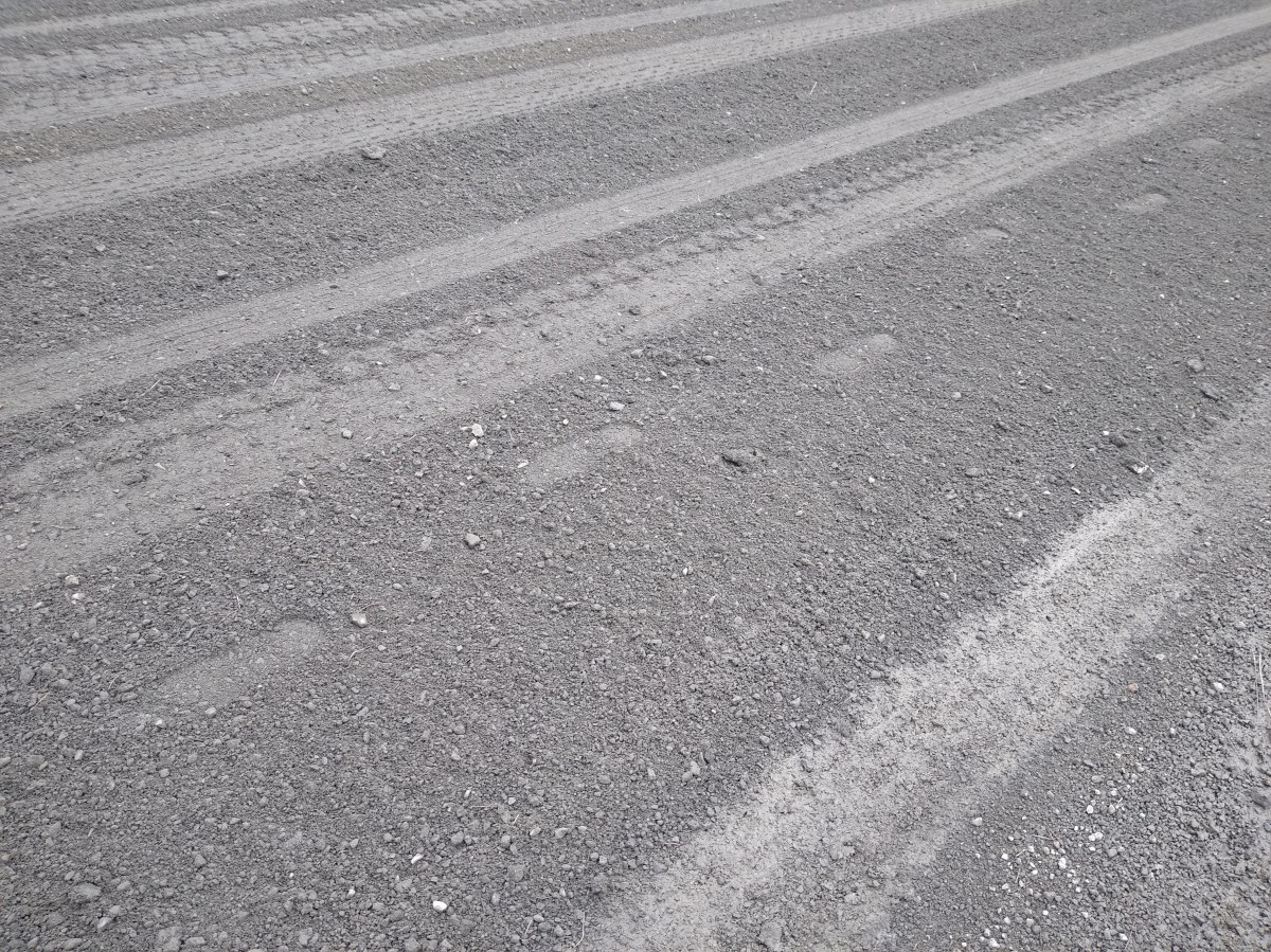 Walking Haiku – Michelle Eames