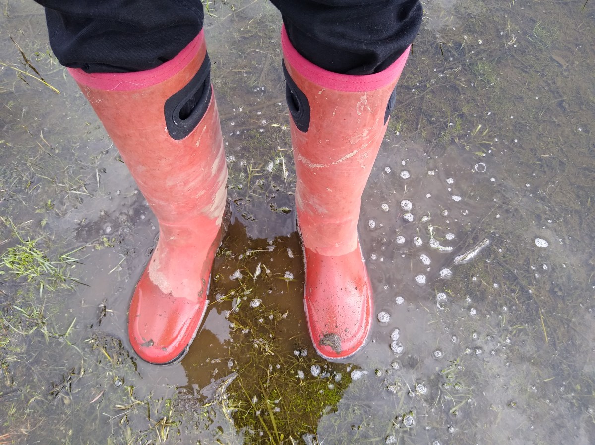 Farewell to the Red Boots – Michelle Eames