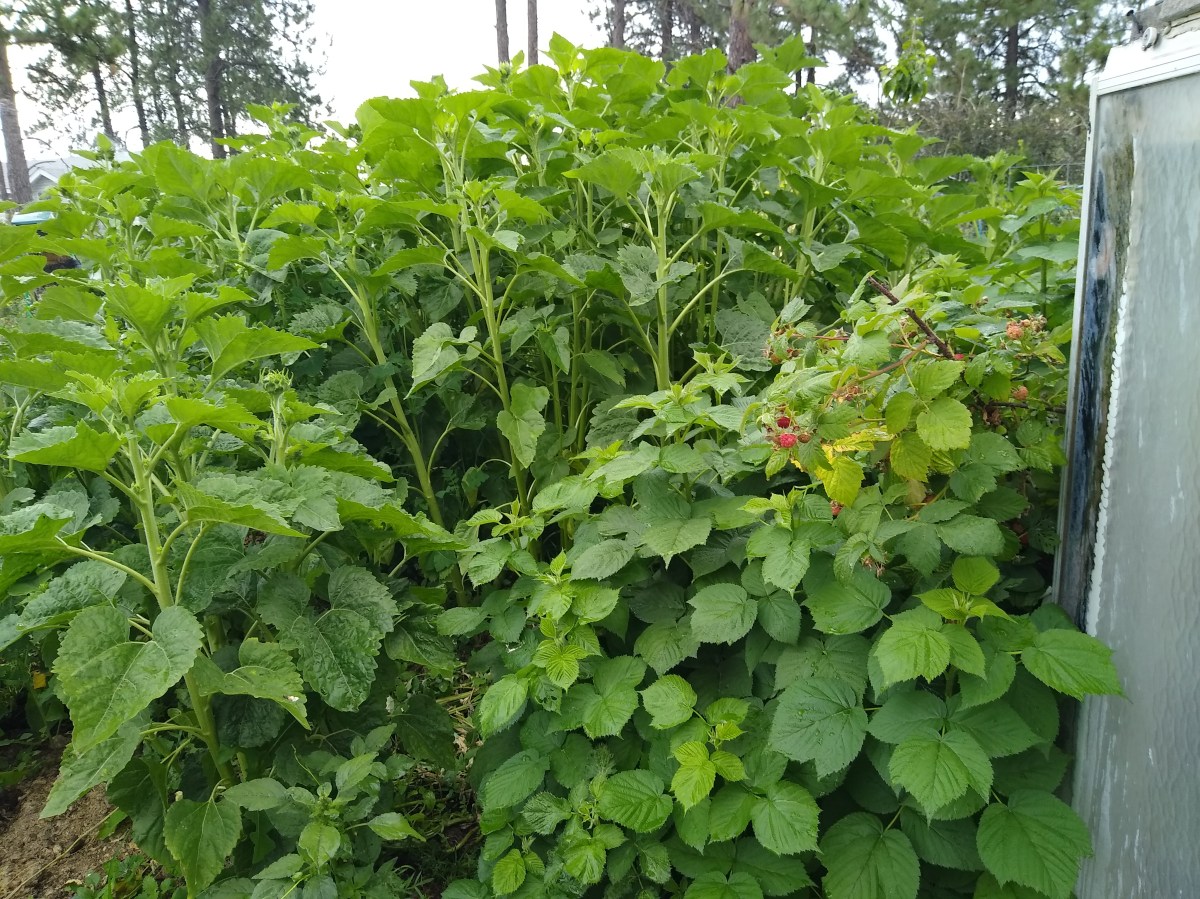 Flip Flop Season – Michelle Eames