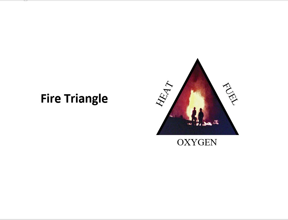 Finally: A Future for the Fire Poems – Michelle Eames