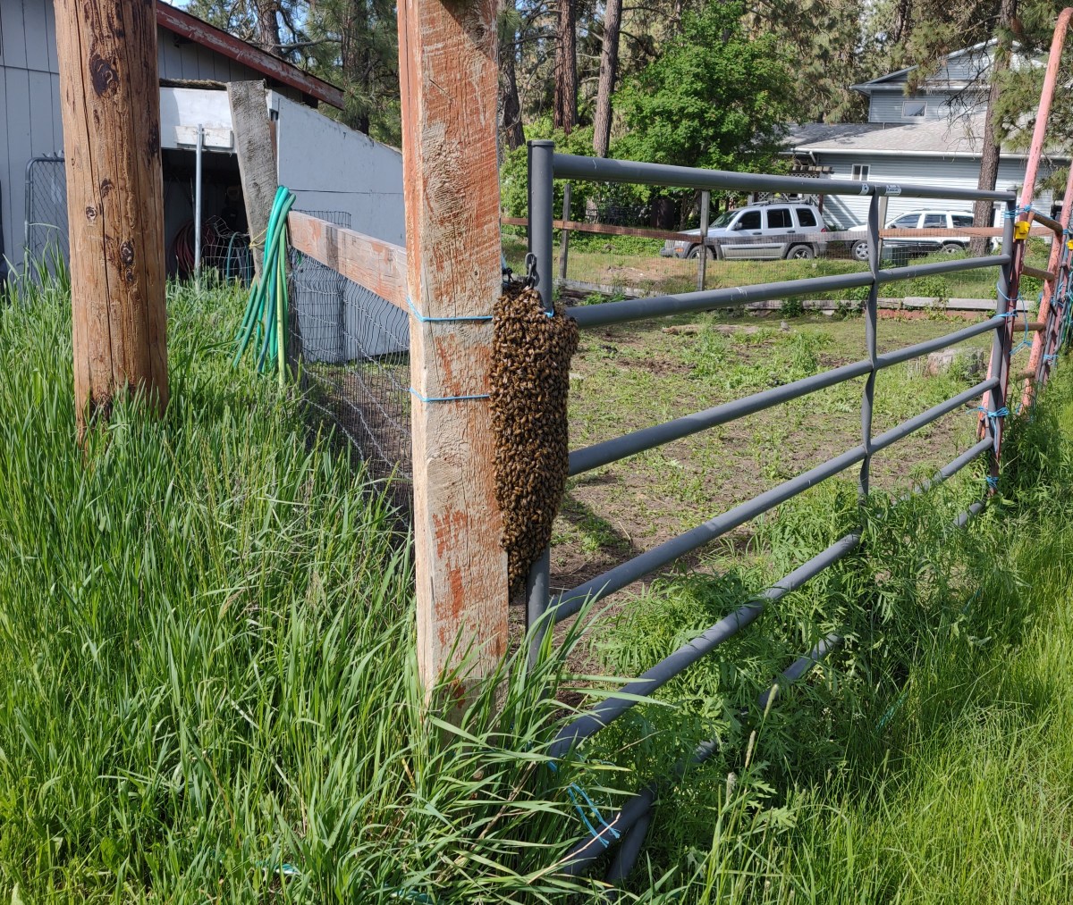 Just Say Yes to Drugs – Michelle Eames